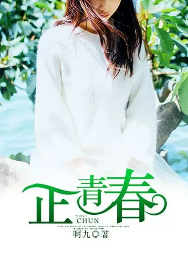 正青春小说免费阅读图标