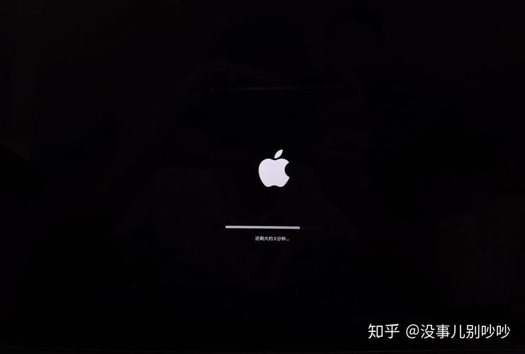 苹果开机闪一下logo就黑屏截图