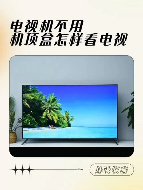 不用机顶盒子可以看电视吗