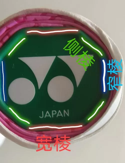 怎样握羽毛球拍图标