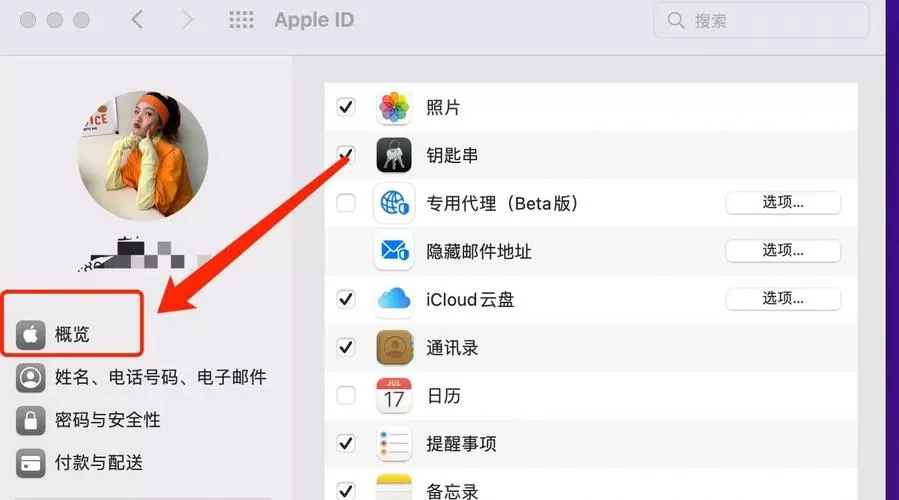 免费解除苹果ID软件图标