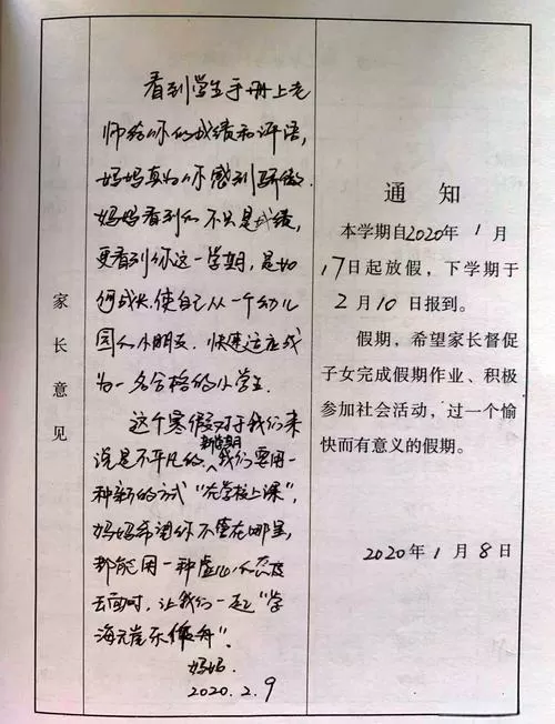 学生综合手册家长意见怎么写