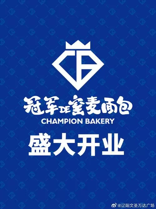 陶麦vip是什么截图