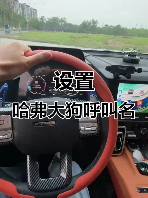 哈弗神兽语音功能怎么唤醒图标