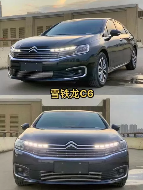 雪铁龙c6隐藏功能大全截图