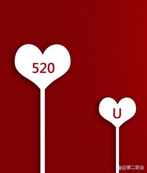 520视频图标