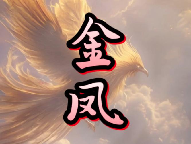 金凤直播图标