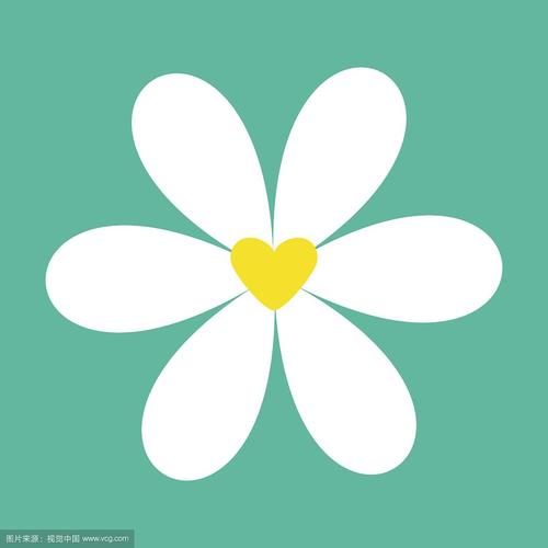 小菊花视频图标