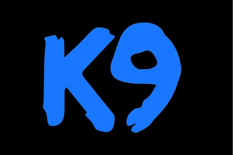 k9视频截图