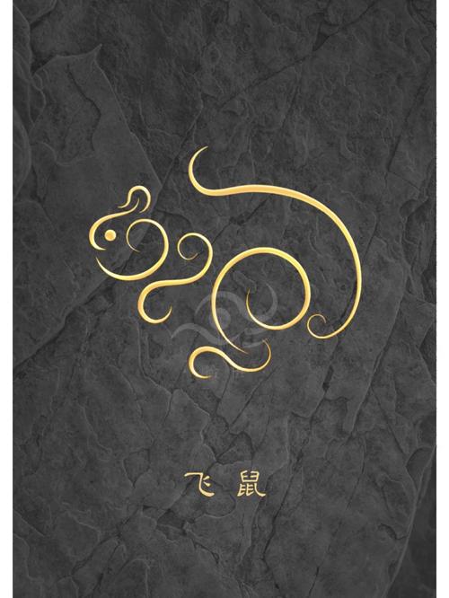 飞鼠视频
