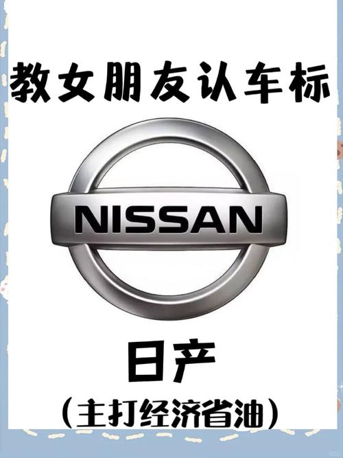 精品日产一区二区三区视频怎么看图标
