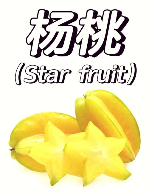 杨桃视频图标