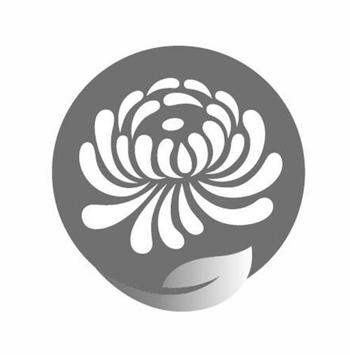 菊花视频图标