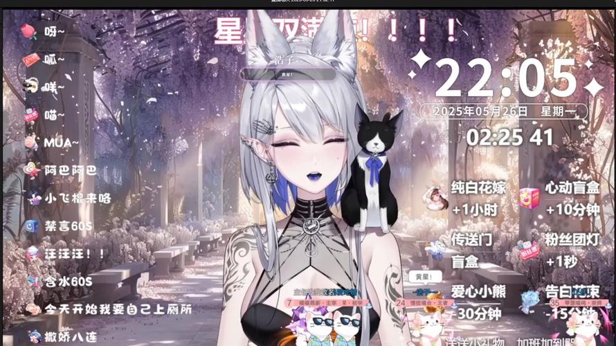 星星直播