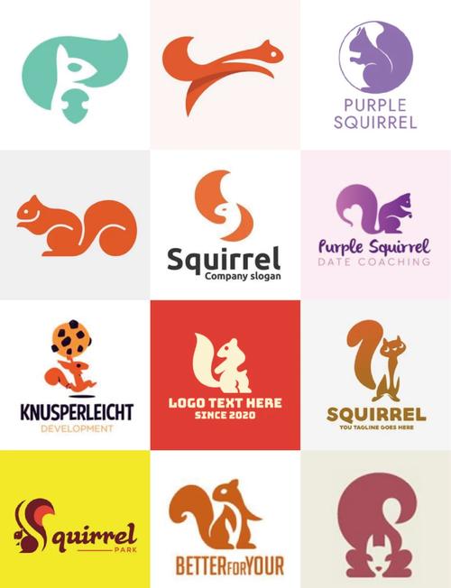 松鼠视频图标
