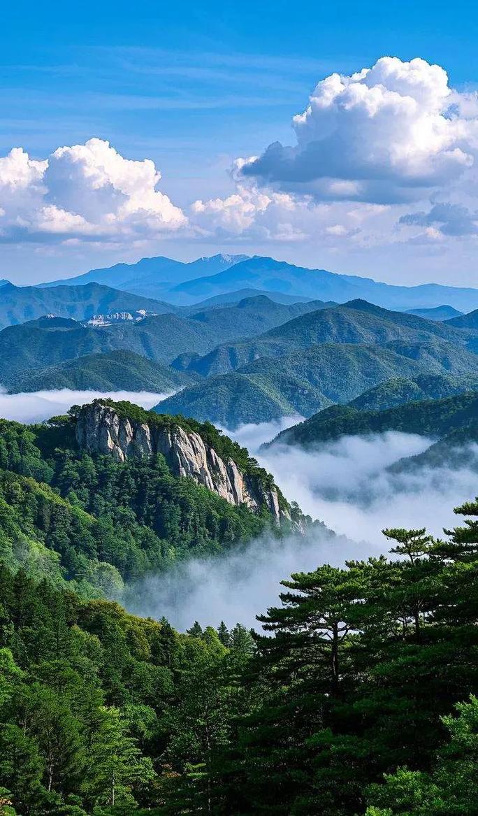 千山视频