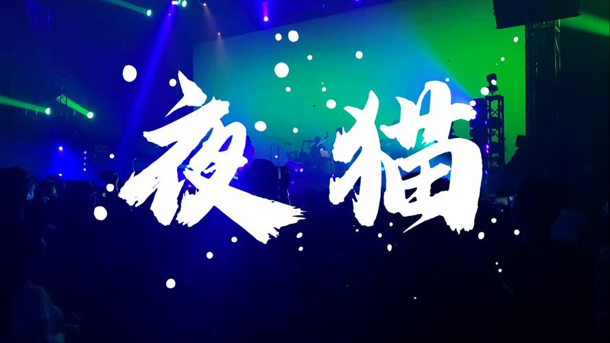 夜猫影视图标