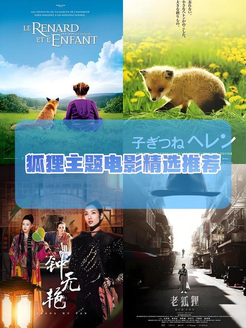 小狐狸影视