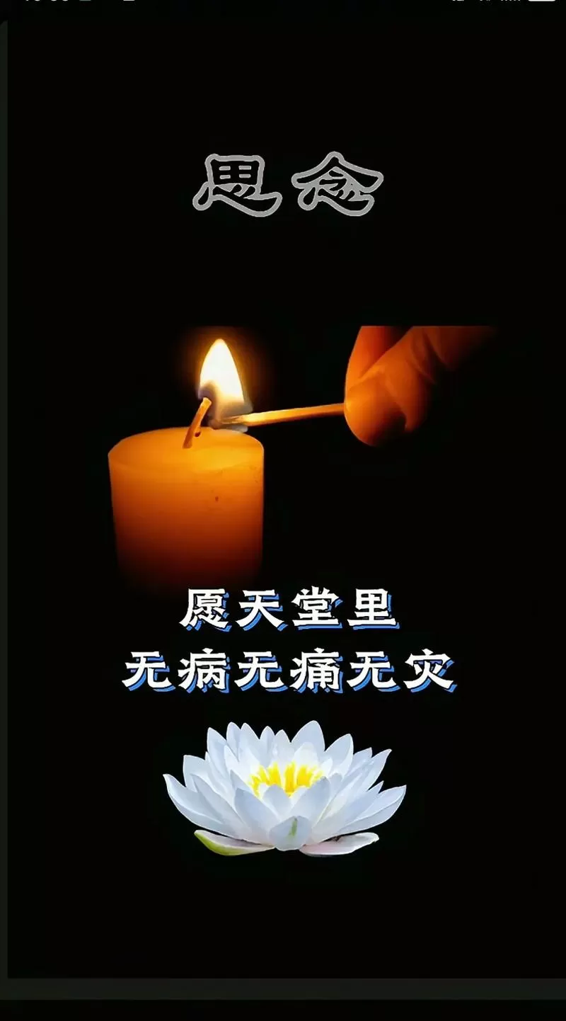 为已故人点灯截图