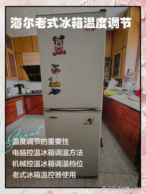 老款海尔冰箱冷藏室温度调节截图