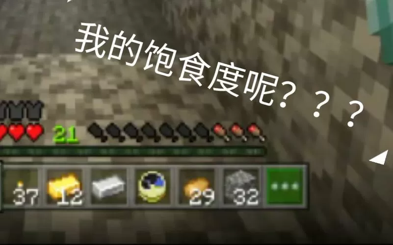 我的世界和平模式掉饱食度
