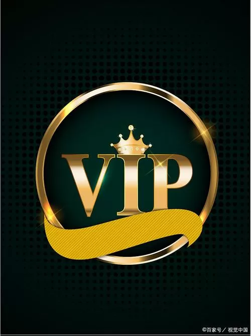 svip9图标