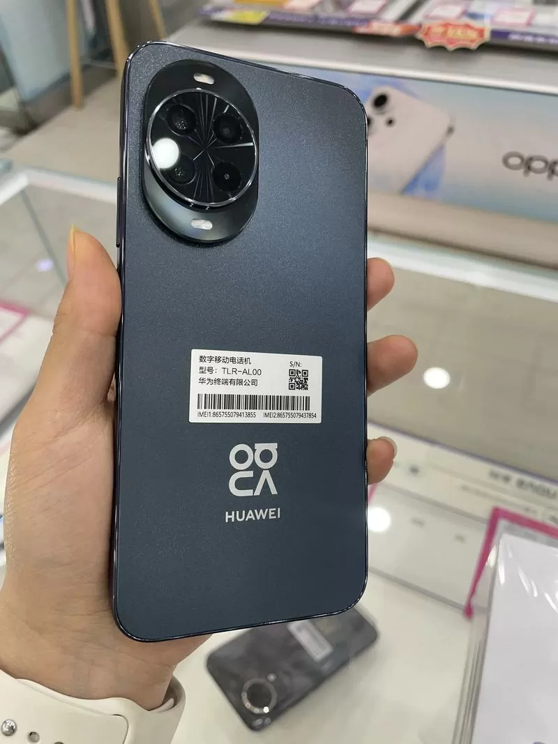 nova14没有自动旋转选项图标
