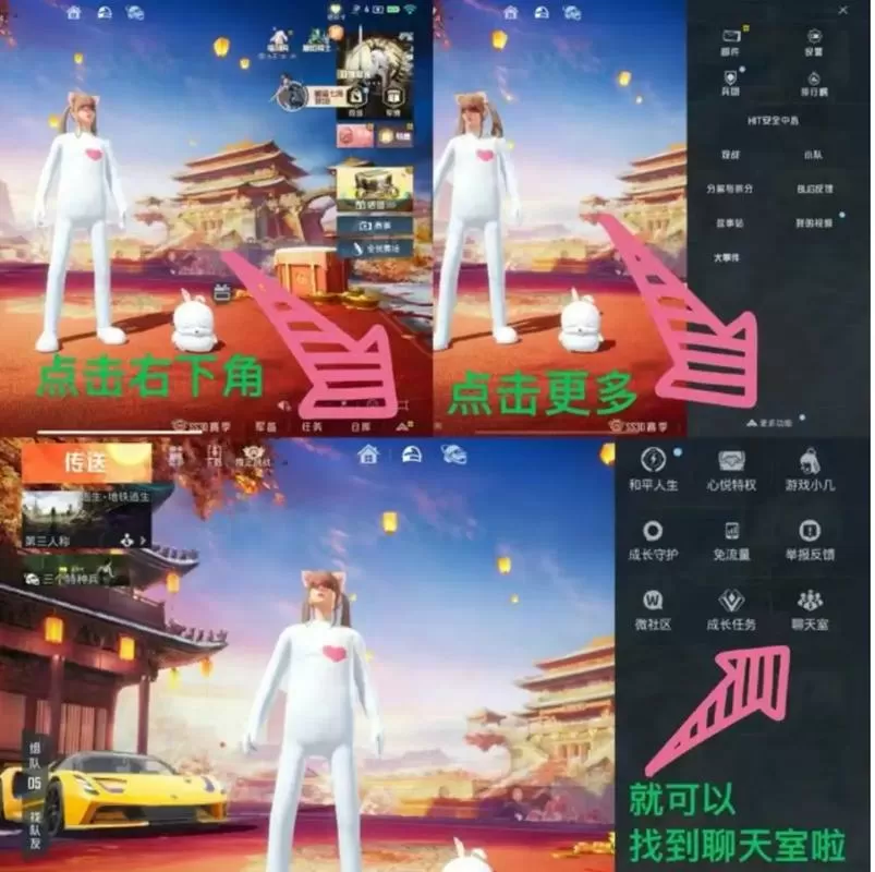 和平精英局内聊天设置在哪里截图