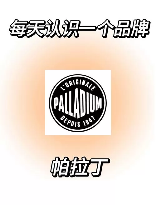 pal翻译成中文
