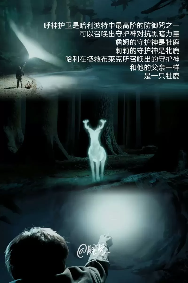 斯内普的守护神为什么是鹿截图