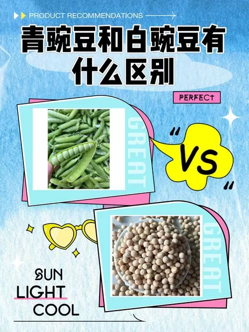 白豌豆与绿豌豆的区别图标