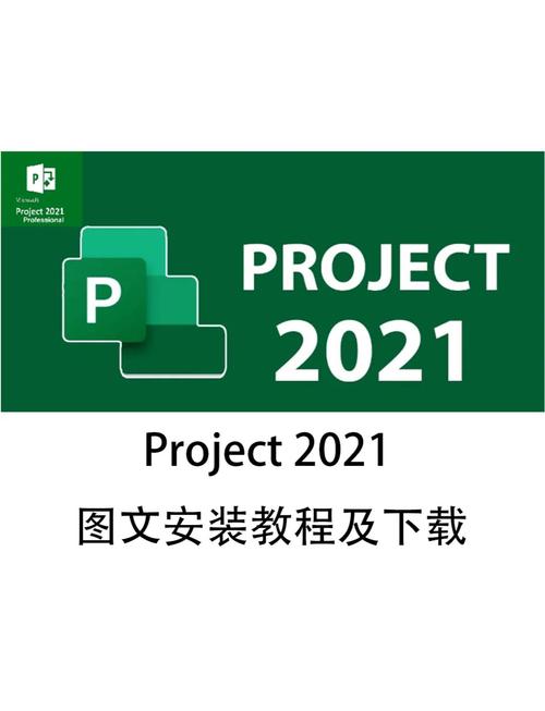 project2021破解版