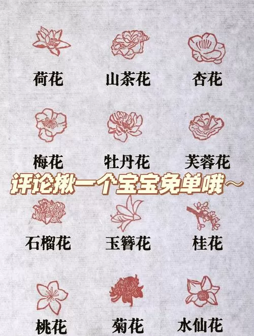 花草古代叫什么雅称