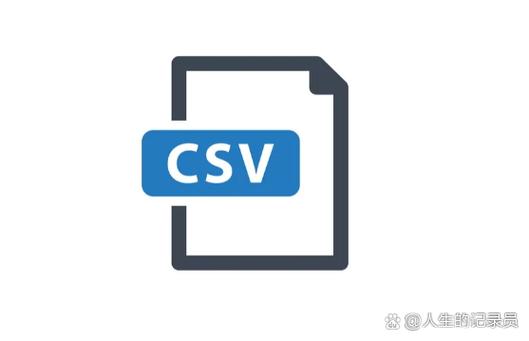 CSV格式截图