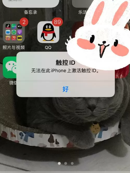 iphone无法激活触控id截图