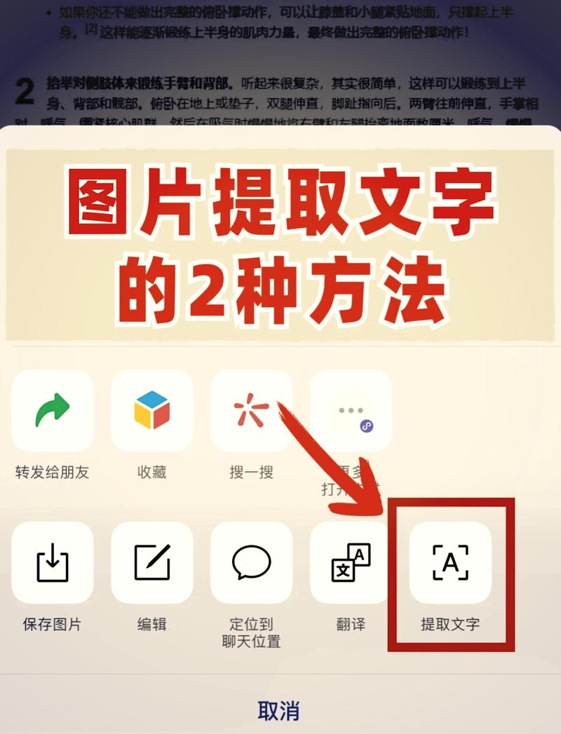 手机怎么提取图片中的文字图标
