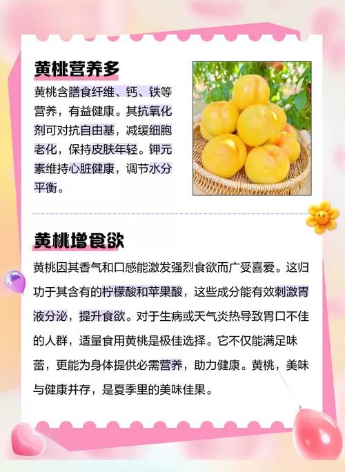 吃黄油桃的好处与坏处截图