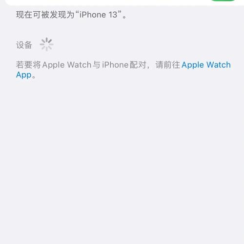 苹果13蓝牙搜索不到设备图标