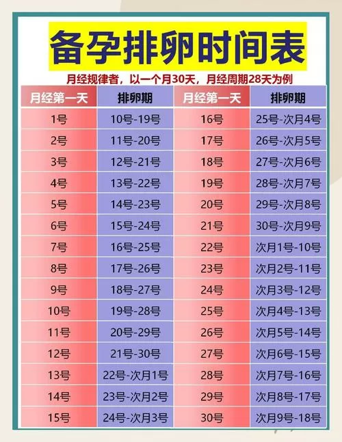 排卵计算器查询图标