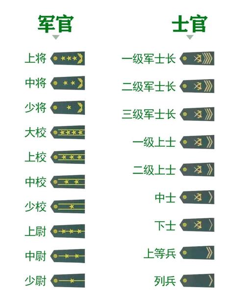 军官等级和职务对照表截图
