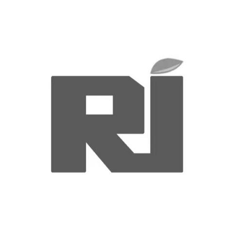 rj版和bs版有什么区别图标