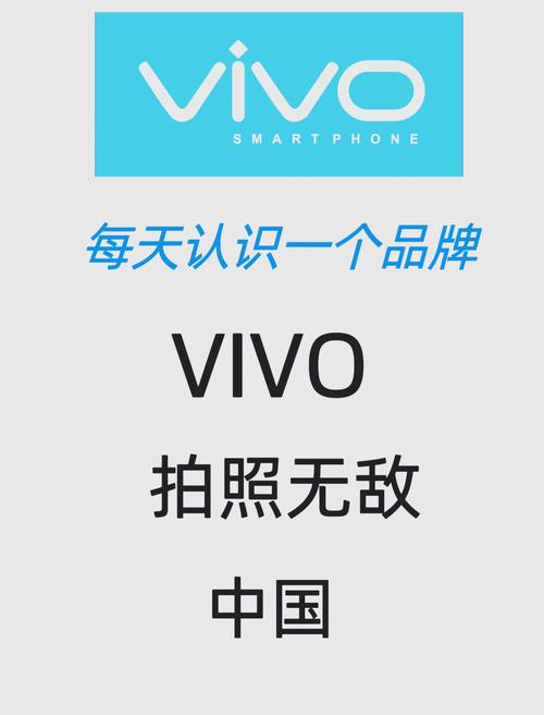 vivo国行和非国行有什么区别