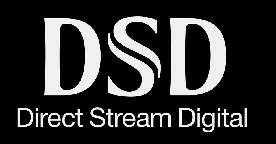 dsd格式可以刻录成cd吗截图