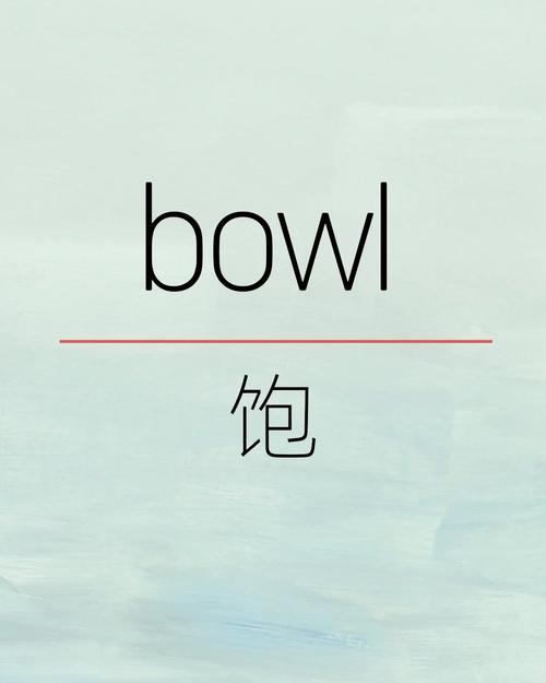 bowl什么意思中文截图