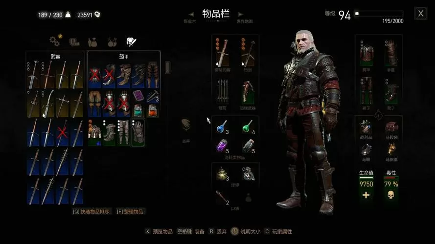 巫师3 100级最强套装图标