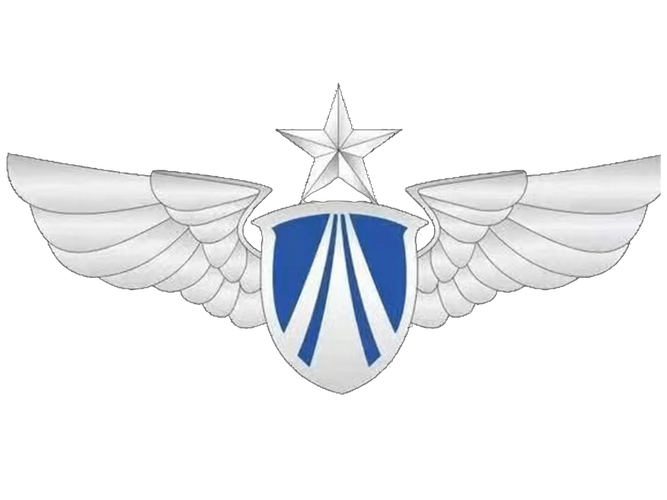 空军1945全解锁版最新图标