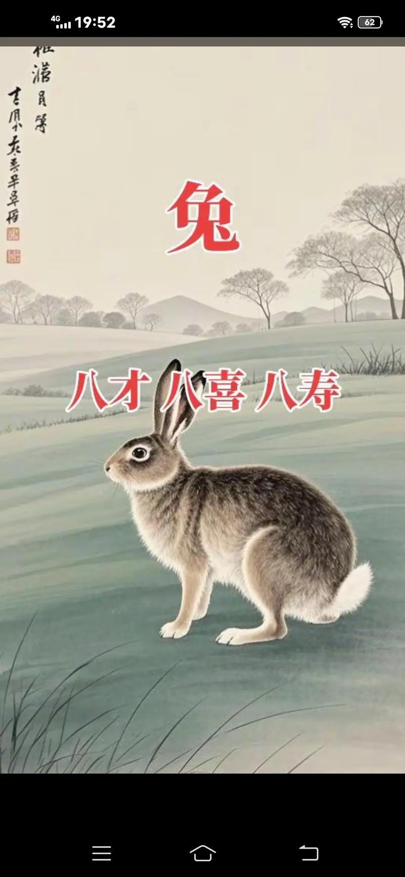 75年是什么兔图标