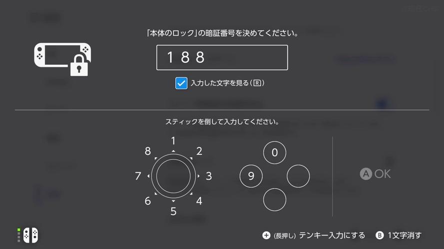 switch密码设置截图