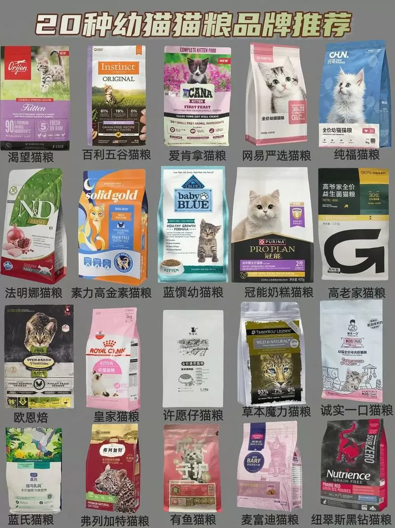 哪里买猫粮便宜又正品图标