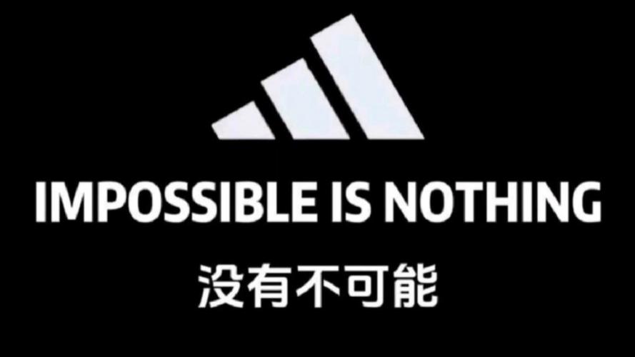梯子没问题但是就是用不了截图